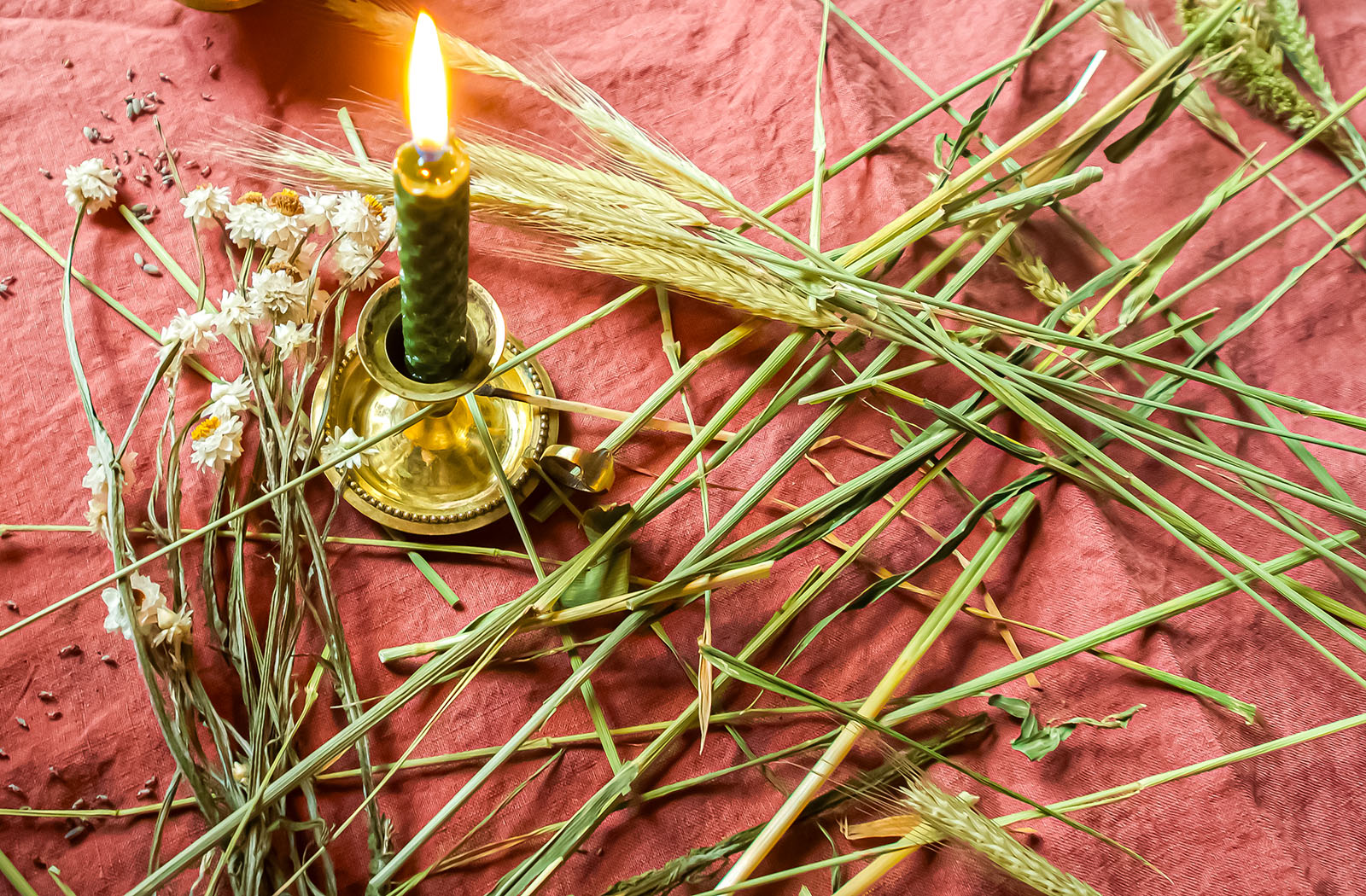 Chai Bunny - Witch Things